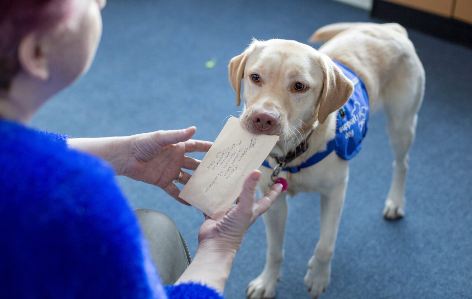 Support Dogs x Cutlery Works - Cutlery Works